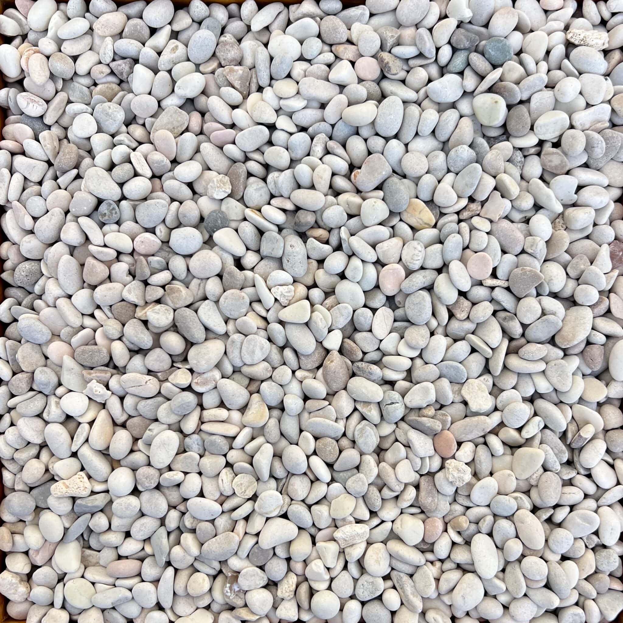 Rounded Seaside Aggregate, Ivory, 3/8" | Cascade Stoneworks