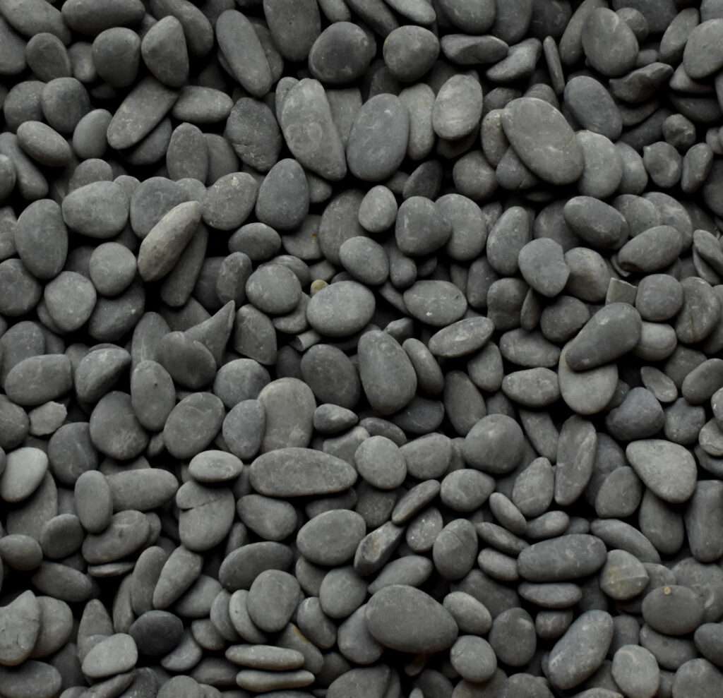 Black Mexican Beach Buttons, 3/4"- 1" | Cascade Stoneworks